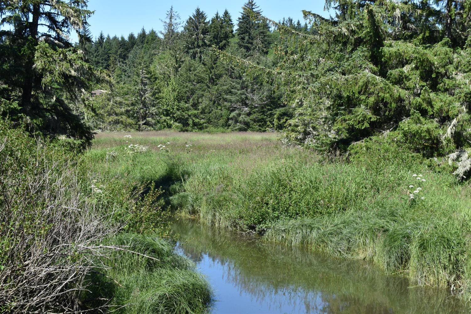 Never seen the wind like that there. – Climate Wary Homesteader